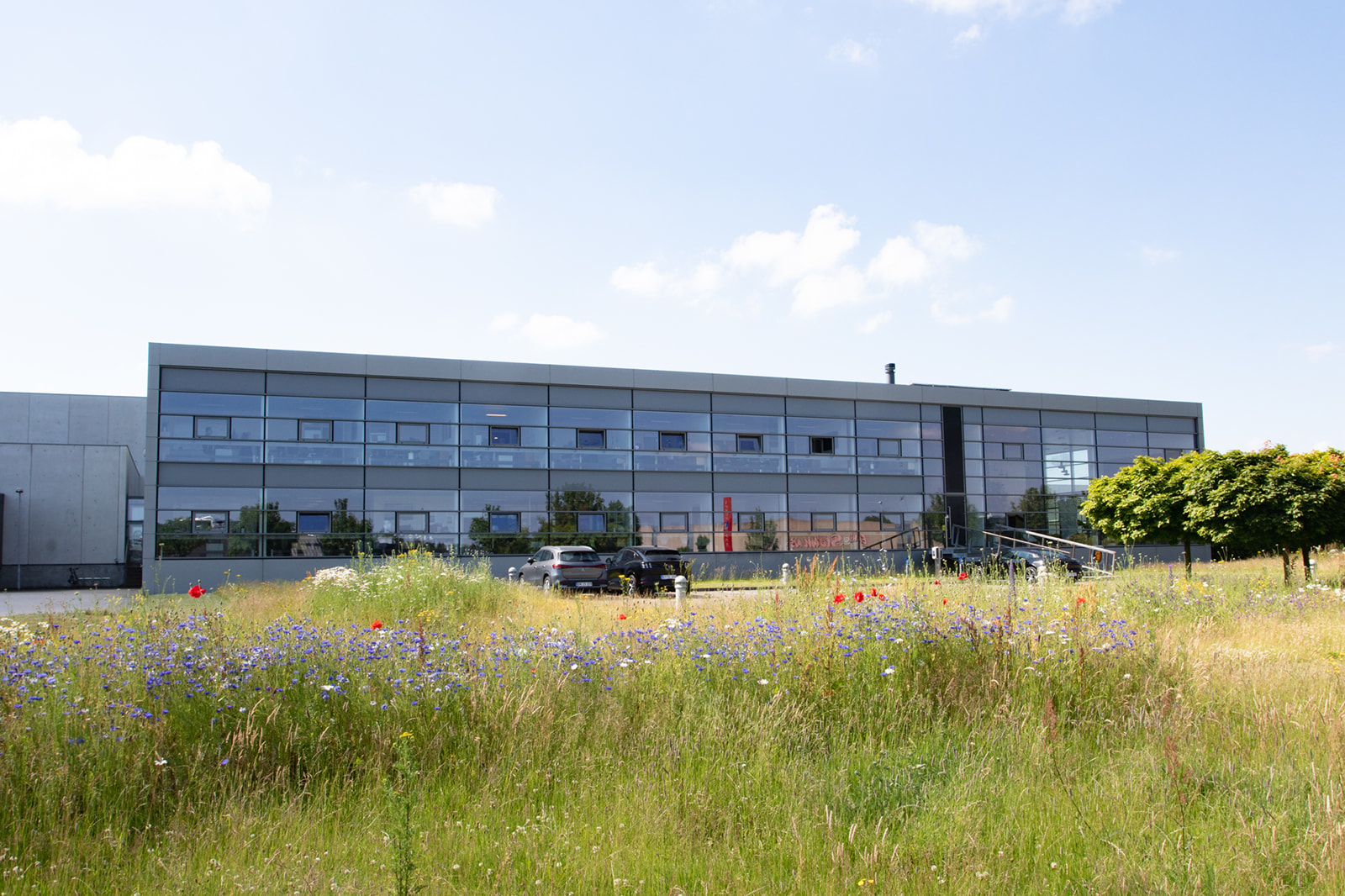 Innovative Packaging Solutions Focusing on Circularity | Plus Pack