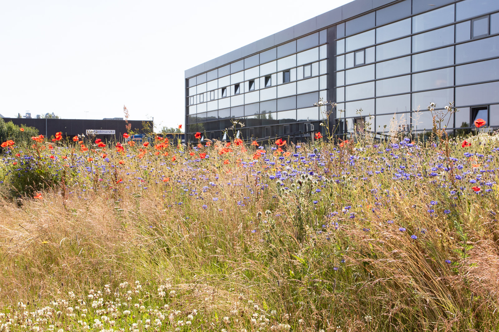 Latest News and Updates | PlusPack.com - Stay Informed on Packaging ...